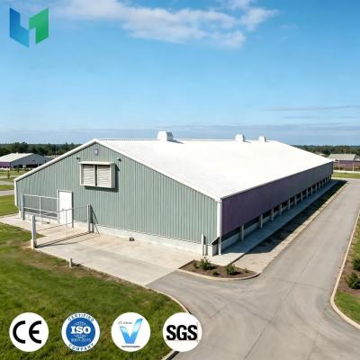 China Steel Structure Poultry House Design Automatic Feeding Frame for Breeder Chicken Farm Use for sale