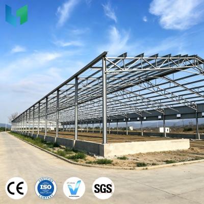China Steel Structure Poultry House Building Wide Span Frame for Duck and Goose Raising Use for sale