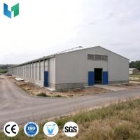China Cow Farm Steel Structure Shed Prefabricated Frame for Calf Raising and Breeding Use for sale