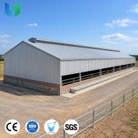 China Steel Structure Dairy Cow Shed Prefabricated Livestock Barn with Open Side Yards and Feed Bunk for Large Herd for sale