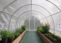 China Multi‑Span Walk‑In Garden Greenhouse for sale