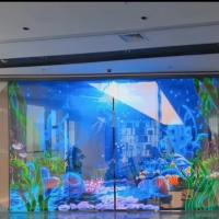China High Brightness Holographic Invisible Screen Indoor Transparent LED Screen for Glass Window for sale