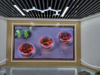 China 3d screen display indoor immersive led screen3d led screen indoor3d screen for sale