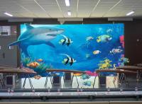China High Brightness Wide Color Gamut 3D Polarized Display for School Teaching for sale