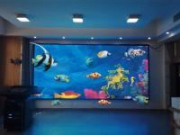 China High Refresh Rate Polarized 3D Screen Interactive Immersive Education Monitor for sale