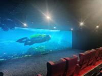 China Polarized 3D Display, Immersive Cinema‑Grade 3D Screen for sale