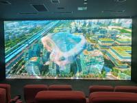 China High Contrast Polarized 3D Display Intangible Cultural Heritage 3D Exhibition Screen for sale