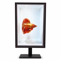 China Glasses-free 3D advertising display for sale