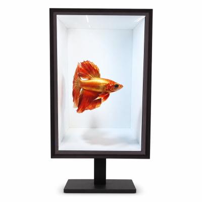 China Glasses-free 3D advertising display for sale