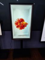China Glasses-Free 3D Advertising Display for sale