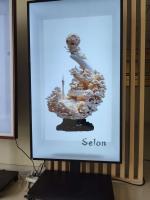 China 3D stereoscopic display, no need to wear glasses for sale