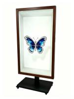 China Glasses-free 3D spatial screen, used for displaying products for sale