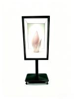 China Glasses-free 3D floating display for sale