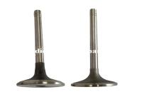 China Cater3306 Intake Valve Exhaust Valve for sale