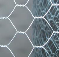 China HDG Hexagonal Wire Mesh 0.9mm Diameter 1.5m X 100m Chicken Mesh For Plastering for sale
