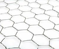 China HDG Hexagonal Wire Mesh 0.9mm Diameter 1.5m X 100m Chicken Mesh For Plastering for sale