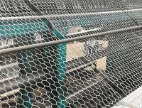 China PVC Coated Hexagonal Wire Mesh Netting 1.0mm Diameter 1.5m Width For Livestock for sale