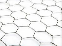 China HDG Plaster Reinforcement Mesh 0.9mm Diameter Plastering Chicken Wire Mesh for sale