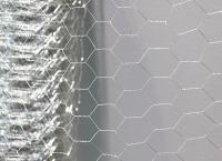 China 30 X 30mm Plaster Reinforcement Mesh 1.0mm Diameter Hexagonal Chicken Wire Mesh for sale