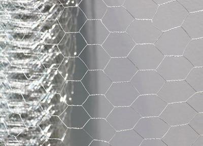 China 30 X 30mm Plaster Reinforcement Mesh 1.0mm Diameter Hexagonal Chicken Wire Mesh for sale