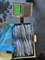 China Frozen Pacific Saury 3# for sale