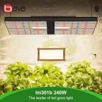 China Samsung LM301H Quantum Board Led Grow Light 240W For Medical Plants for sale