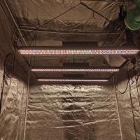 China BAVAGREEN Samsung LED Grow Light Bar for sale