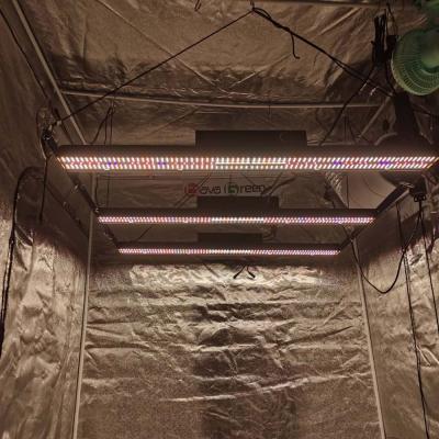 China BAVAGREEN Samsung LED Grow Light Bar for sale