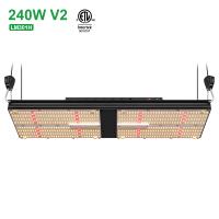 China Bavagreen 660nm IP20 LM301H LED Grow Light Qb288 240W Pre Assembled for sale