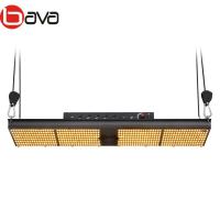 China Hydroponic LM301B LED Grow Light 550 V2 SAMSUNG Quantum Board 240w for sale