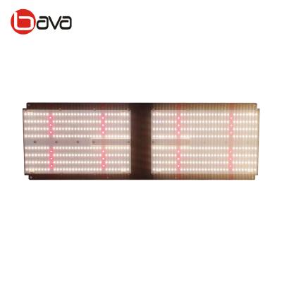 China RoSH 660nm Led Grow Light Clone Plant 624 Umol/S 240W LM301H 3500k for sale