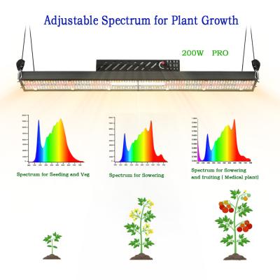China IP20 Samsung 520Umol/S LM301H Led Plant Grow Lights 200W 2.6umol/W for sale