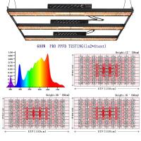 China Seoul 385nm LM301H LED Grow Light SAA Vertical Farming 600W AC277V for sale