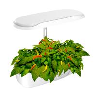 China Indoor Full Spectrum 24W Hydroponic Growing System Succulents Herb for sale