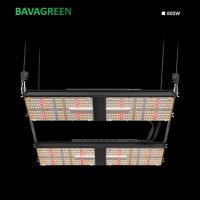 China 1248umol/s LM301H LED Grow Light for sale