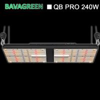 China 24pcs Medical Plant LM301H LED Grow Light Adjustable Spectrum Bavagreen 240W for sale