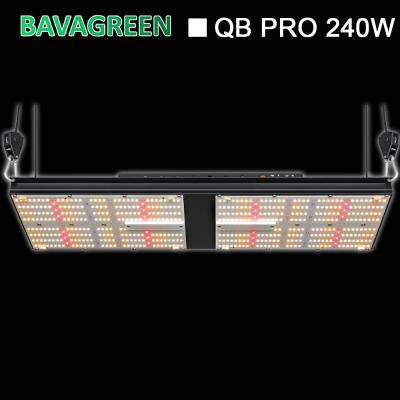 China 24pcs Medical Plant LM301H LED Grow Light Adjustable Spectrum Bavagreen 240W for sale