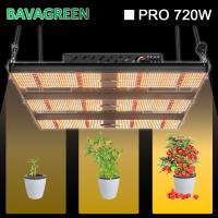China Full Spectrum Samsung LM301H 720W LED Grow Light For Medical Plant for sale
