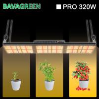 China 832 Umol/S SAMSUNG LM301H LED Grow Light 320W 60x120x200mm for sale