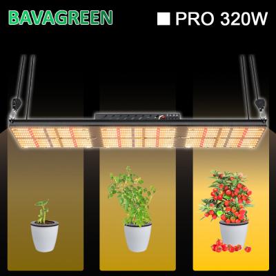 China 832 Umol/S SAMSUNG LM301H LED Grow Light 320W 60x120x200mm for sale