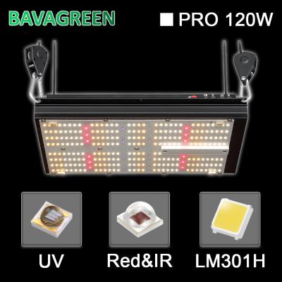 China BAVA 2.8umol Led Herb Grow Light Red 660nm Uv 120w 312Umol/s for sale
