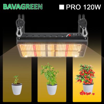 China 3000K 5000K LM301B Quantum Board 120W Samsung Indoor Garden Led Grow Lights for sale