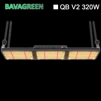 China SAMSUNG LM301B Chips BAVA Quantum Board 320w Greenhouse Grow Lamps 816umol/s for sale
