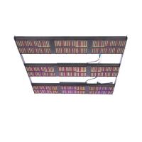 China Bavagreen High Power LED Grow Lights 1080w IP65 Quantum Board UV IR for sale