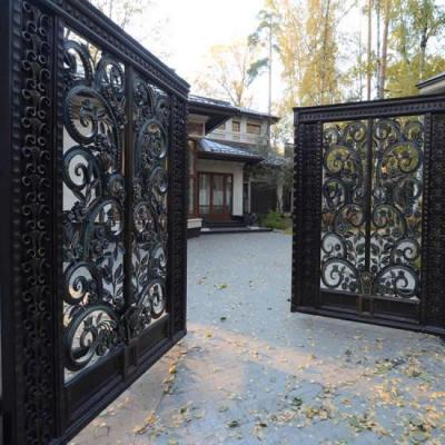 China Anti Corrosion Cast Aluminum Anti Rustness Modern Metal Lane Door for sale