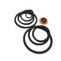 China NBR FKM Rubber Seal Kits AS568 For Gas Field Wireline Adapter for sale