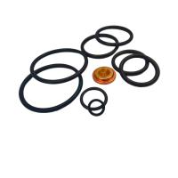 China NBR FKM Rubber Seal Kits AS568 For Gas Field Wireline Adapter for sale