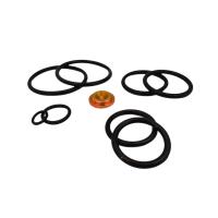 China NBR FKM Rubber Seal Kits AS568 For Gas Field Wireline Adapter for sale