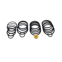 China 20 Setting Tool HNBR FKM Rubber Seal Kits 80 Shore A for sale