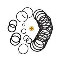 China # 20 BP3.SEC Redress Kit Oilfield Completion Rubber O Ring Seals for sale